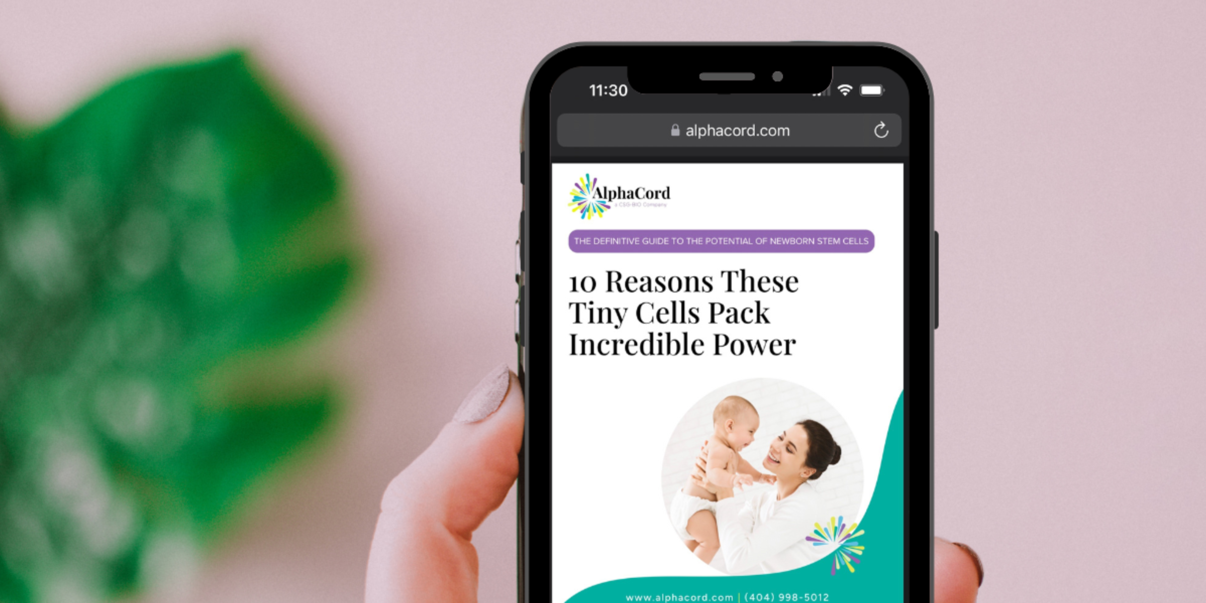 AlphaCord Guide to Stem Cells and Cord Blood | Download Now